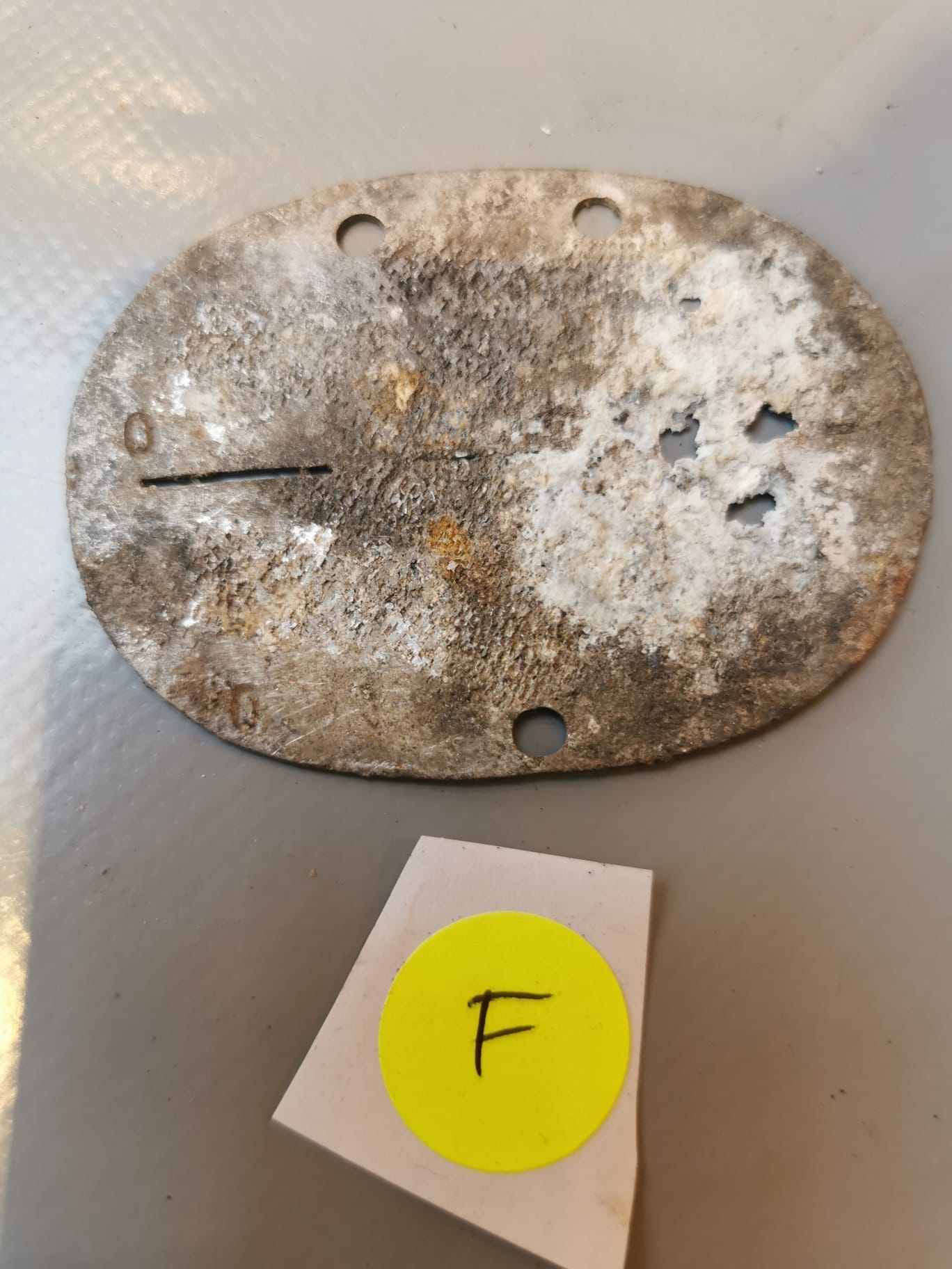 ww2 German dog tag f - Total Relics